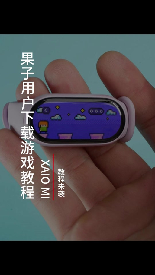 小米手环10下载第三方软件图标
