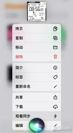 apple watch太空人表盘怎么弄图标