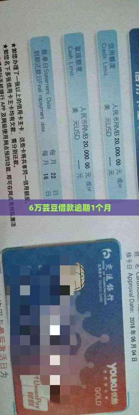 芸豆借款不能借了吗