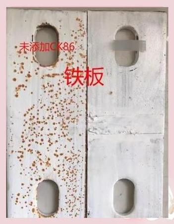 壳子是什么意思截图
