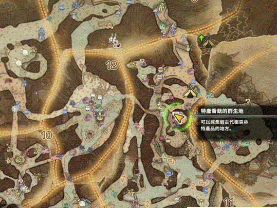 古代树森林矿图标