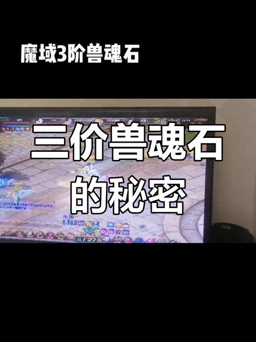 魔域5阶兽魂副本攻略视频图标