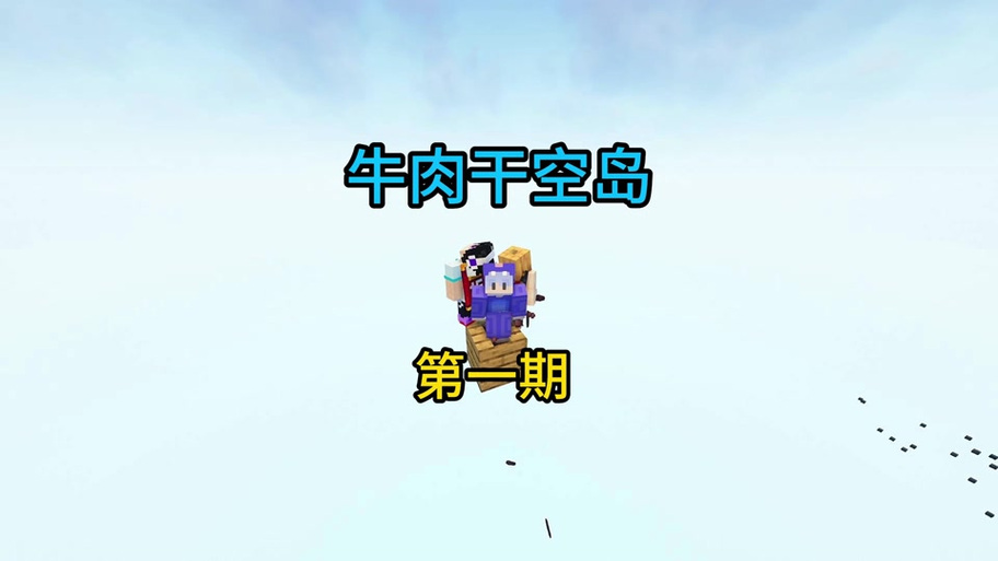 佳楠九选一空岛生存图标