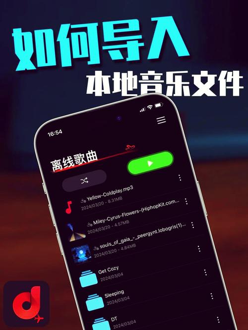 iphone flac导入图标