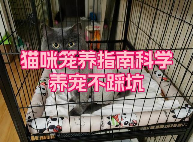 白天散养晚上笼养可以吗猫咪图标