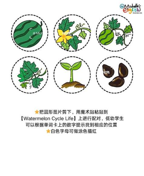 我的世界西瓜苗怎么获取图标