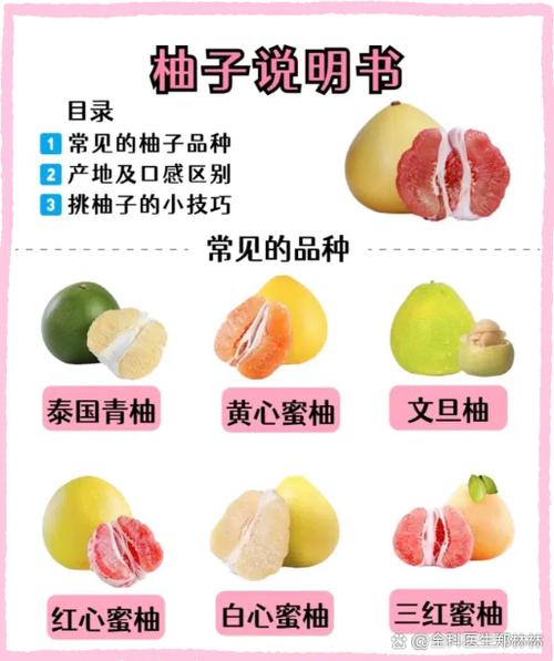 柚子能不能吃多图标