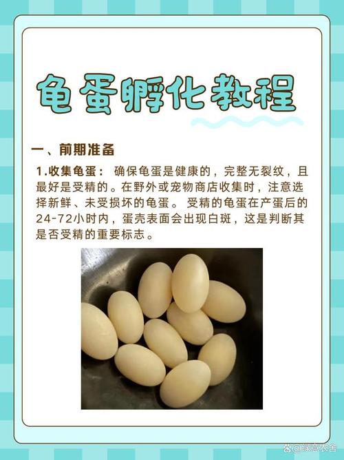 打壳是什么意思图标