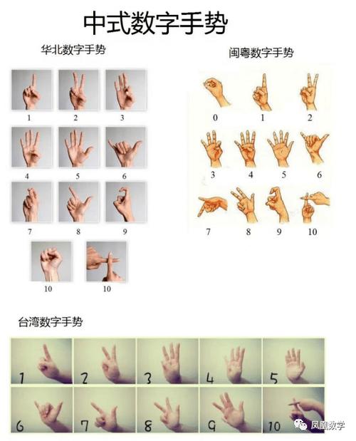 左手能拿到右手拿不到的东西图标