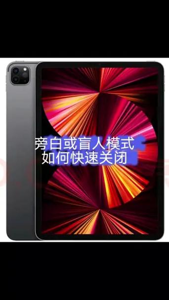 苹果平板怎么退出盲人模式图标