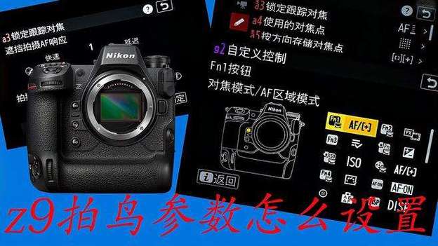 打鸟的参数怎么设置截图