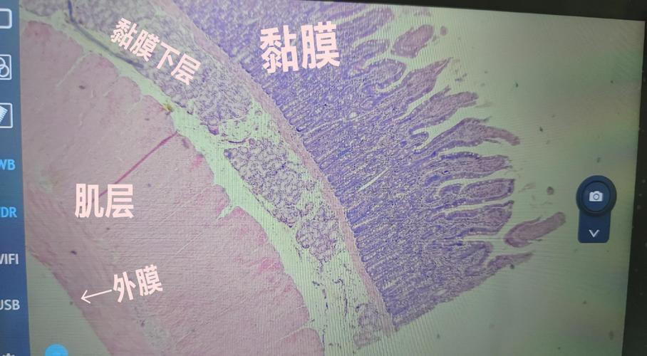 s3d切片图标