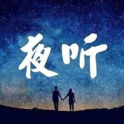 夜叔伴听截图