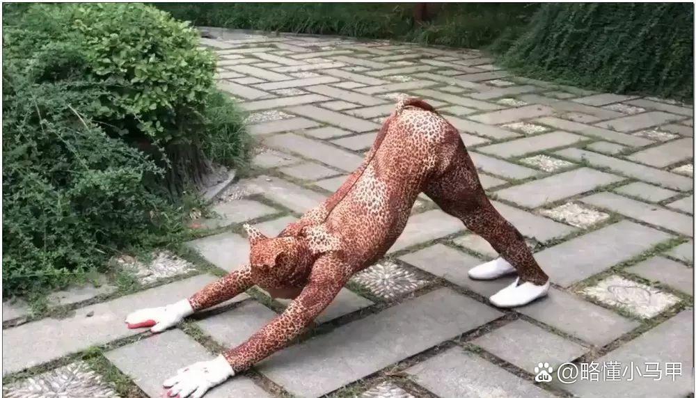 走路赚钱的猫步运动app