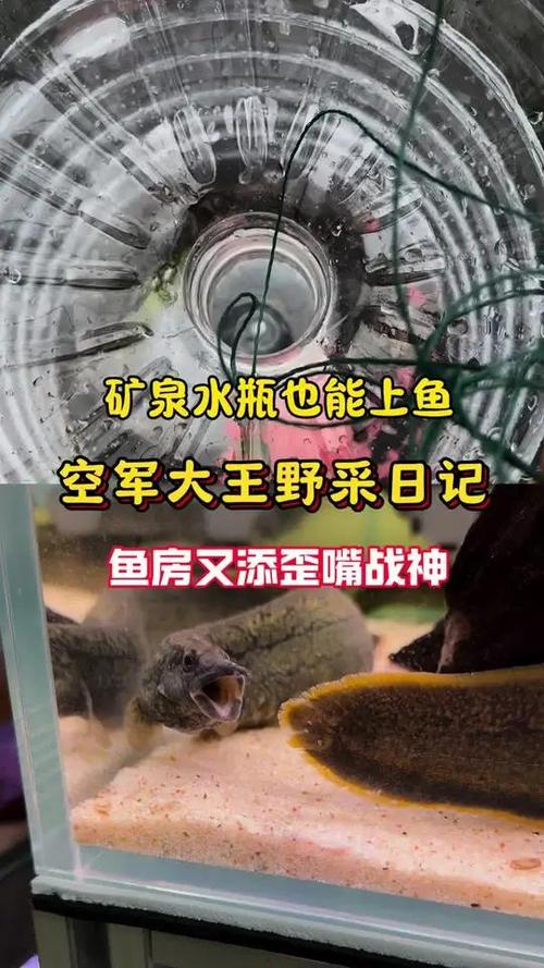 用矿泉水瓶做抓鱼工具截图