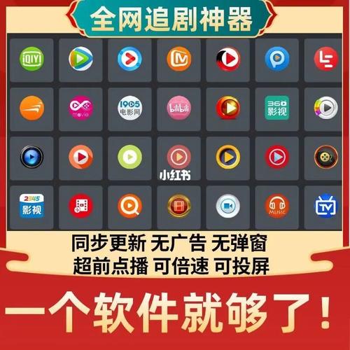大师兄TV版激活码分享图标