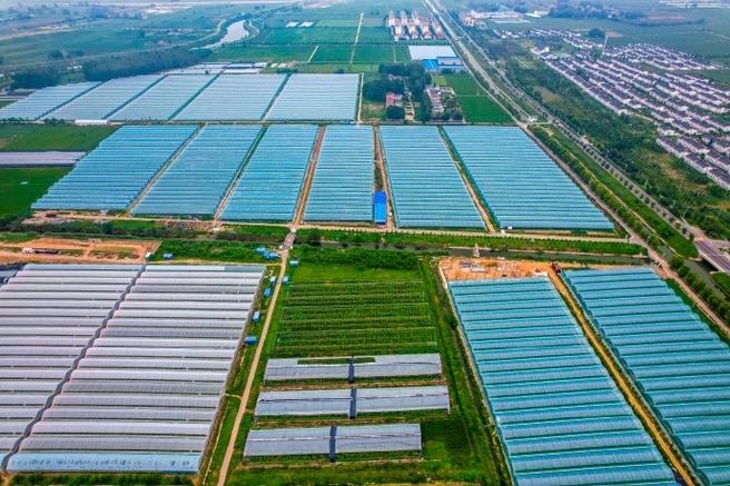 高效设施农业项目包括哪些图标