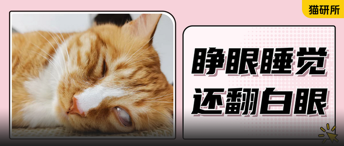 睡觉翻白眼是什么原因图标
