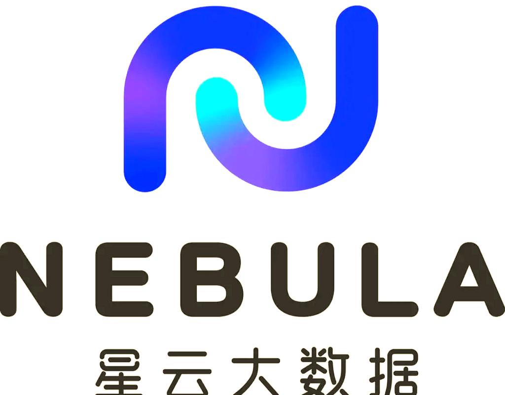星云大数据科技有限公司图标