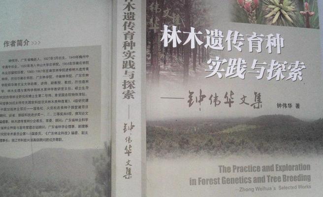 我的世界从林木代码图标