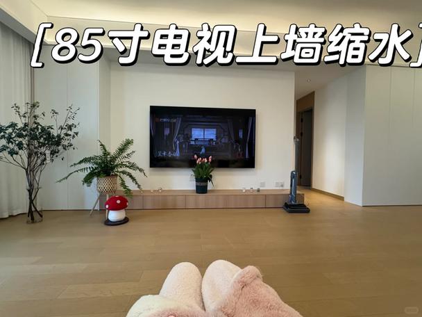 3.6米客厅85寸后悔了图标