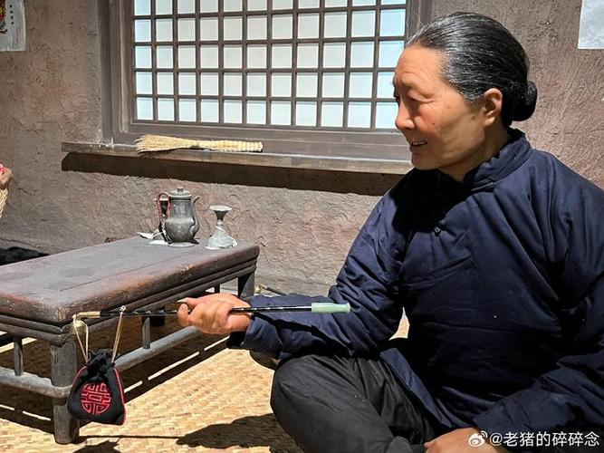 东北大坑妈妈和亲家公的背景故事图标