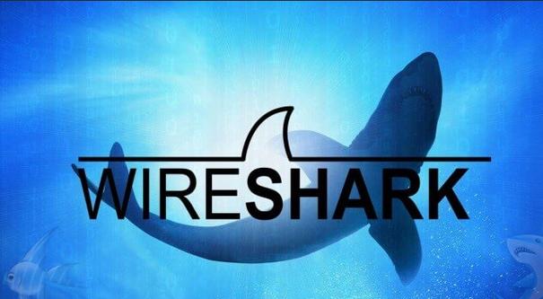 shark软件下载截图