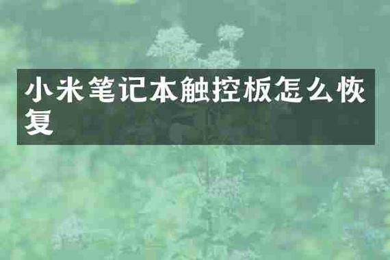 小米电脑触摸板解锁图标