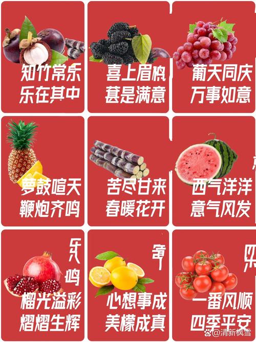水果宣传广告语图标