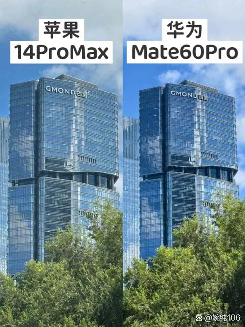 checkvsmate截图