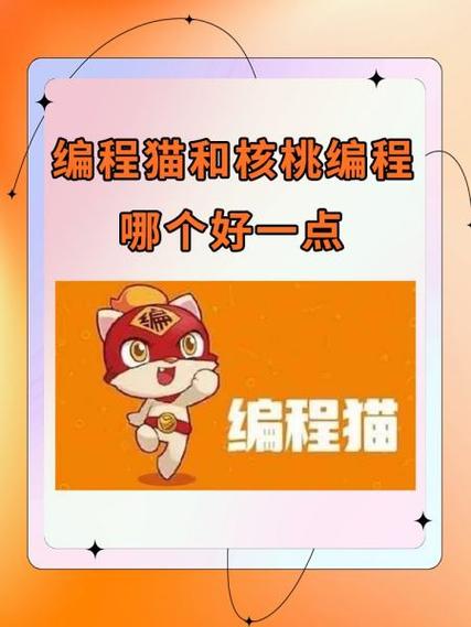 核桃编程信奥班真实评价