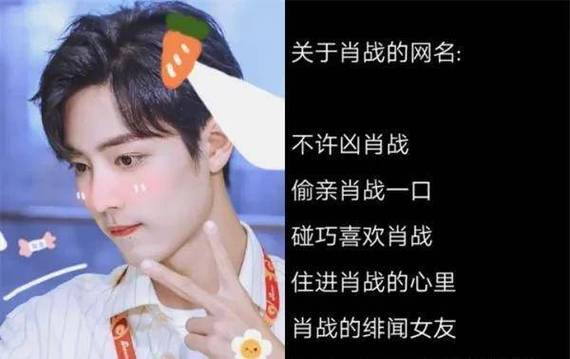 粉丝给爱豆的昵称图标