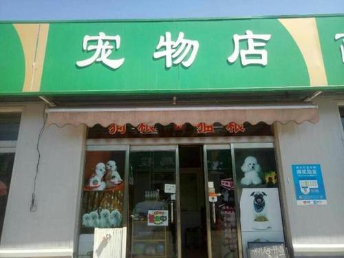 宠物店靠什么挣钱图标