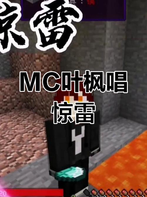我的世界视频叶枫截图