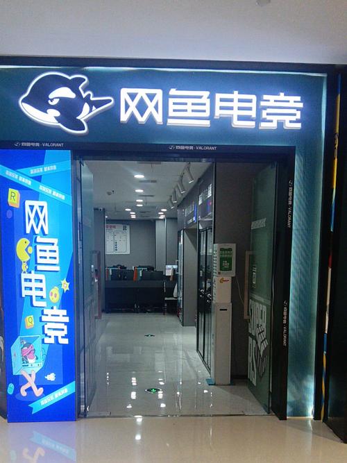网鱼网咖怎么看余额图标