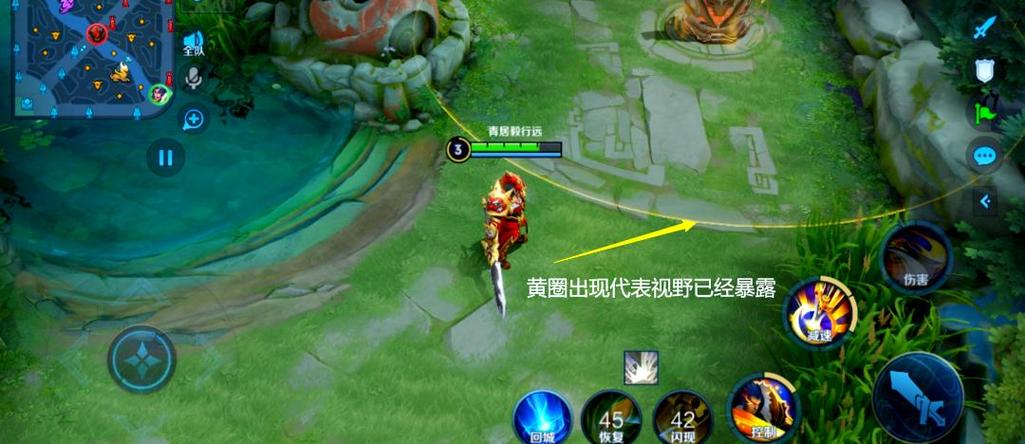 王者视野是什么意思图标