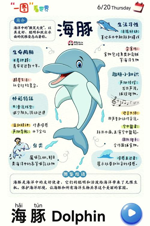 海豚模拟器游戏图标