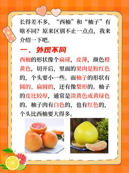 西柚西柚啥意思图标