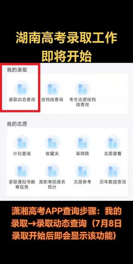 高考志愿怎么查询截图