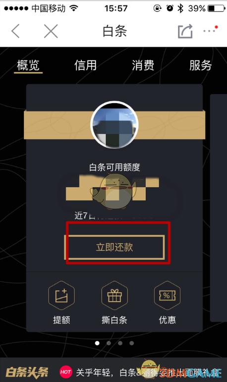 京东白条自动还款方式图标