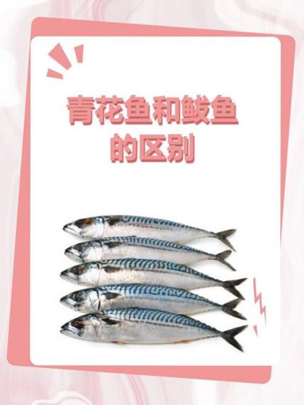 青鱼好还是青花鱼好图标