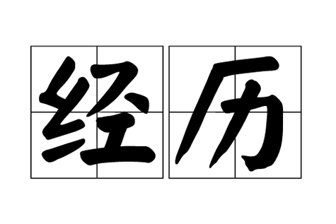 我的个人经历图标
