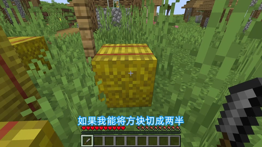 我的世界椒盐蛋沙漠生存