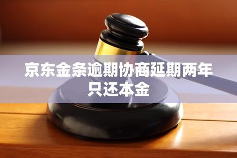 京东金条逾期可以协商延期还款吗图标
