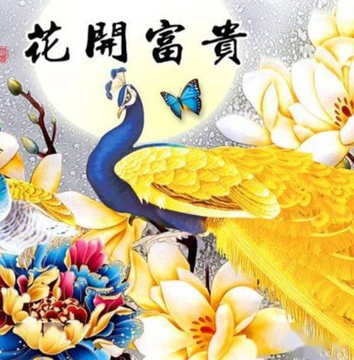 花开富贵适合什么人图标