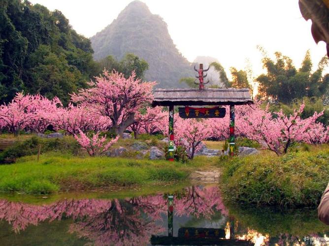 桃源桃花源图标