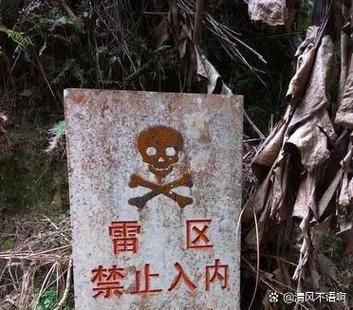 老山前线的地雷都是谁埋的截图