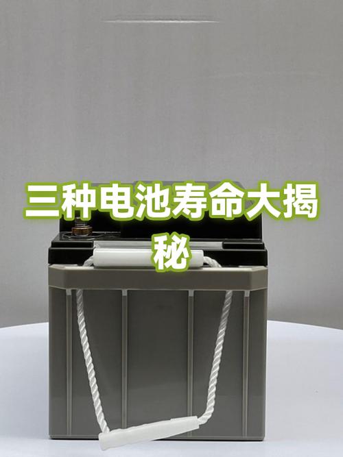 锂电池有效期多少年图标