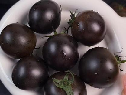 黑色番茄图标