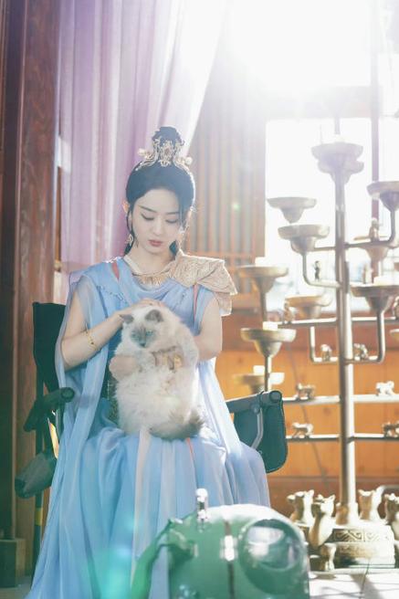 赵丽颖工作室晒沈璃抱猫剧照图标